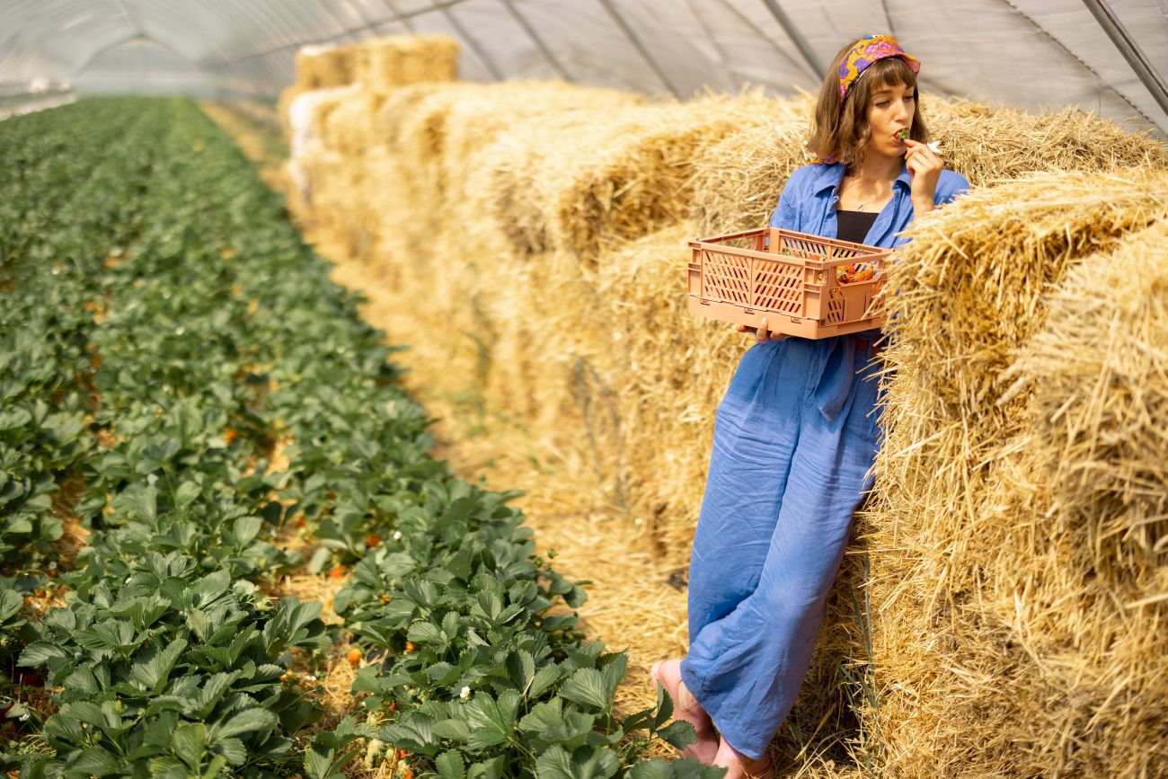 Rolnictwo zrównoważone – jakie są reguły i jak zarządzać gospodarstwem ...